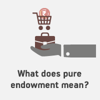 What Does Pure Endowment Mean? Types of Endowment Life Insurance Policy ...