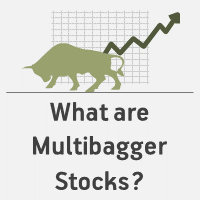 Multibagger Stocks: What They Are and Should You Invest? - Aditya Birla ...