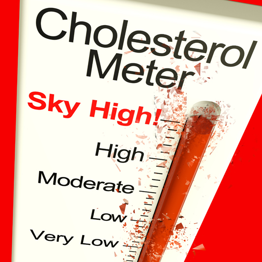 Effects of High Cholesterol on the body - ACTIV LIVING COMMUNITY