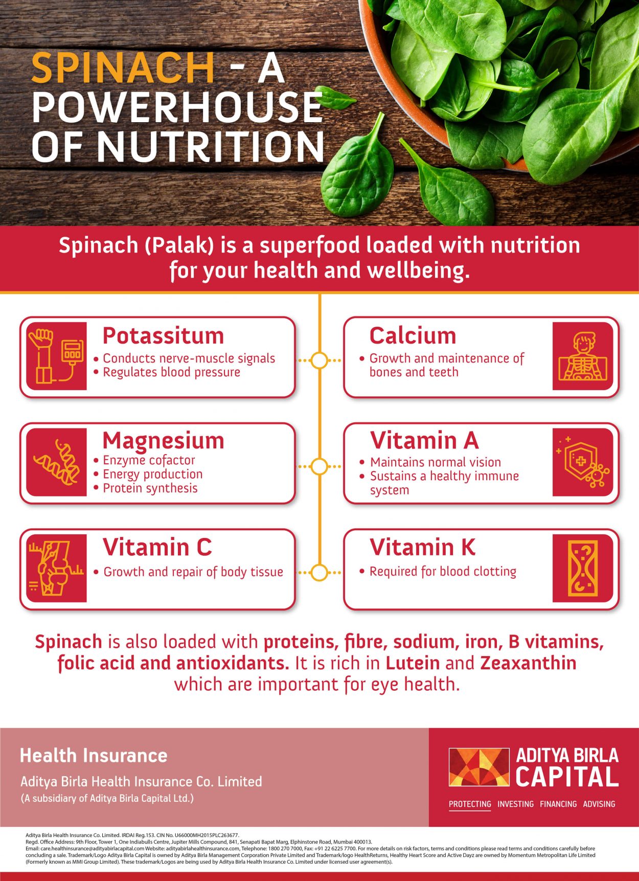 Health Benefits of Spinach: A Nutritional Powerhouse