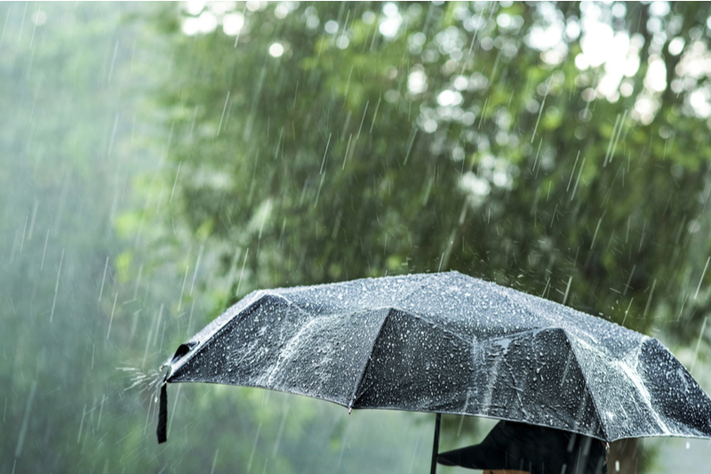 Up Your Immunity During A Pandemic Monsoon - ACTIV LIVING COMMUNITY